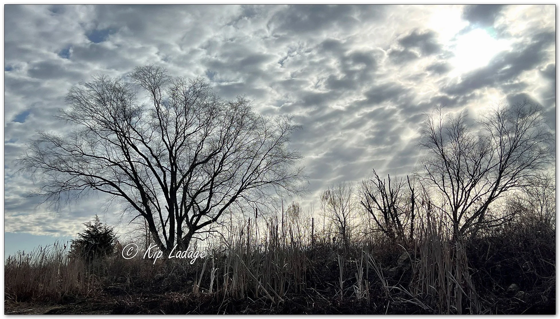 Kip’s Comments - February 25, 2024 — LadagePhotography.com