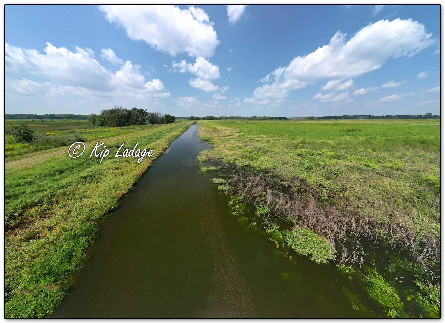 Kip’s Comments - August 18, 2024 — LadagePhotography.com