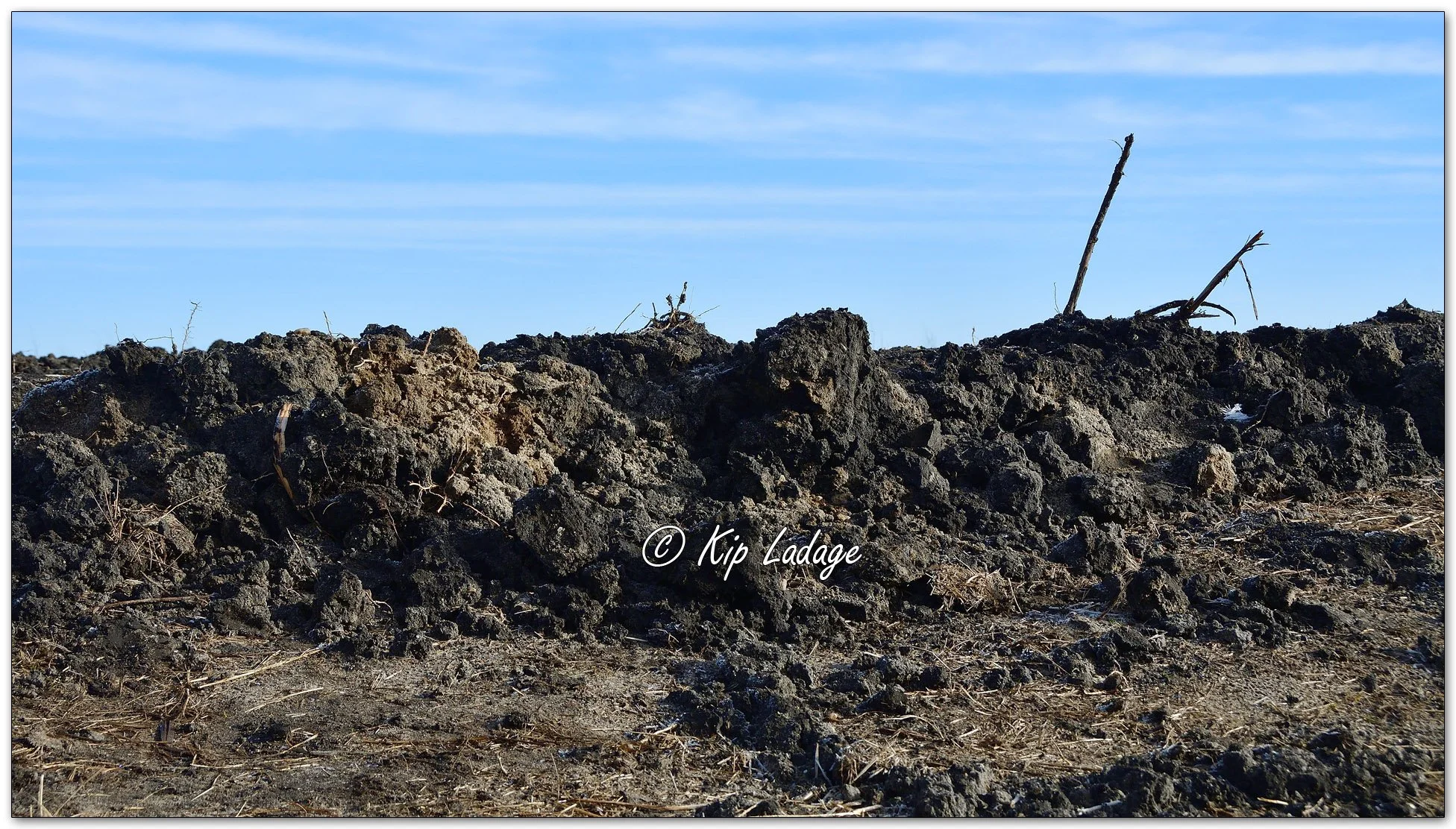 Kip’s Comments - February 4, 2024 — LadagePhotography.com