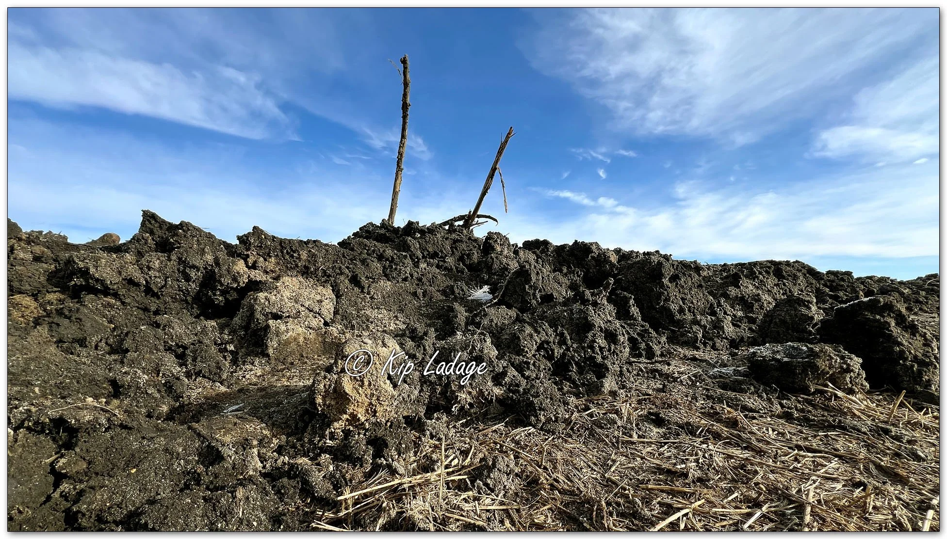 Kip’s Comments - February 4, 2024 — LadagePhotography.com