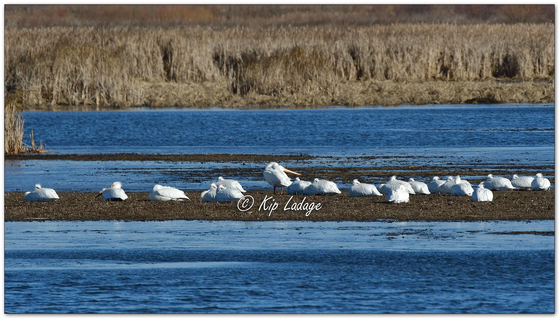 Kip’s Comments - March 9, 2024 — LadagePhotography.com