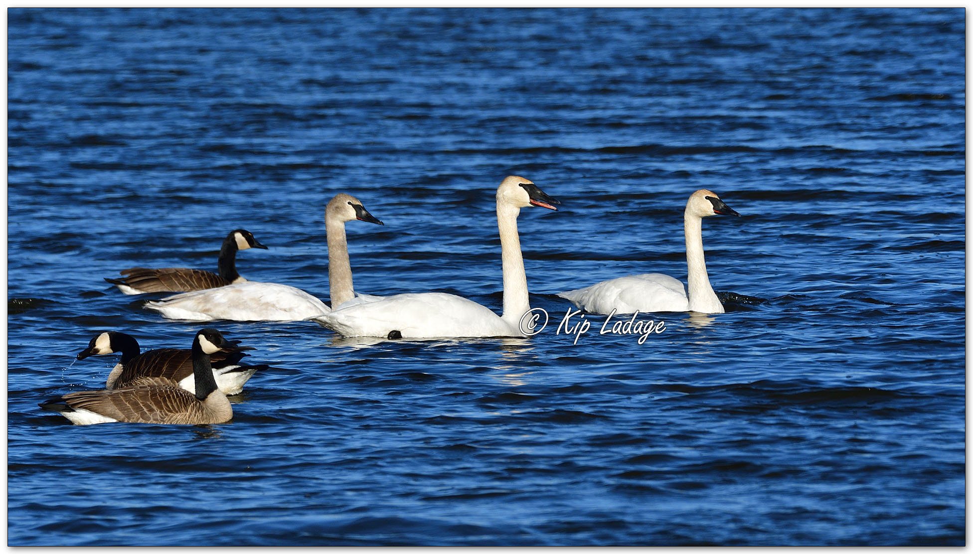 Kip’s Comments - March 9, 2024 — LadagePhotography.com