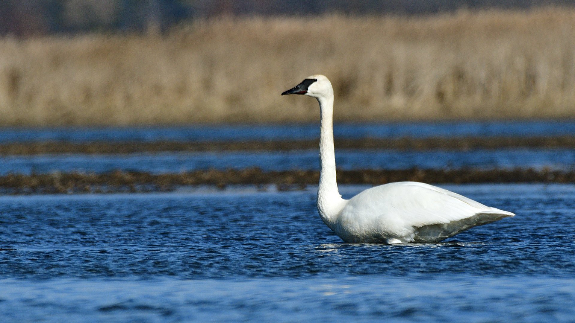 Kip’s Comments - February 23, 2024 — LadagePhotography.com