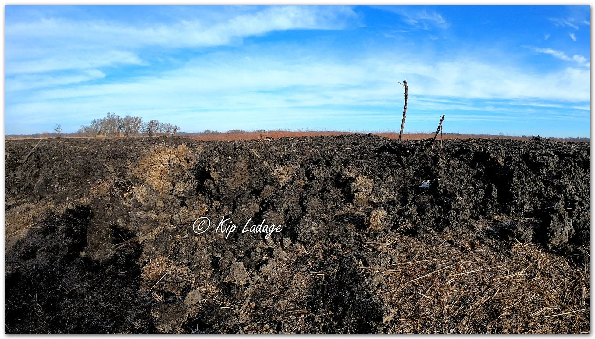 Kip’s Comments - February 4, 2024 — LadagePhotography.com