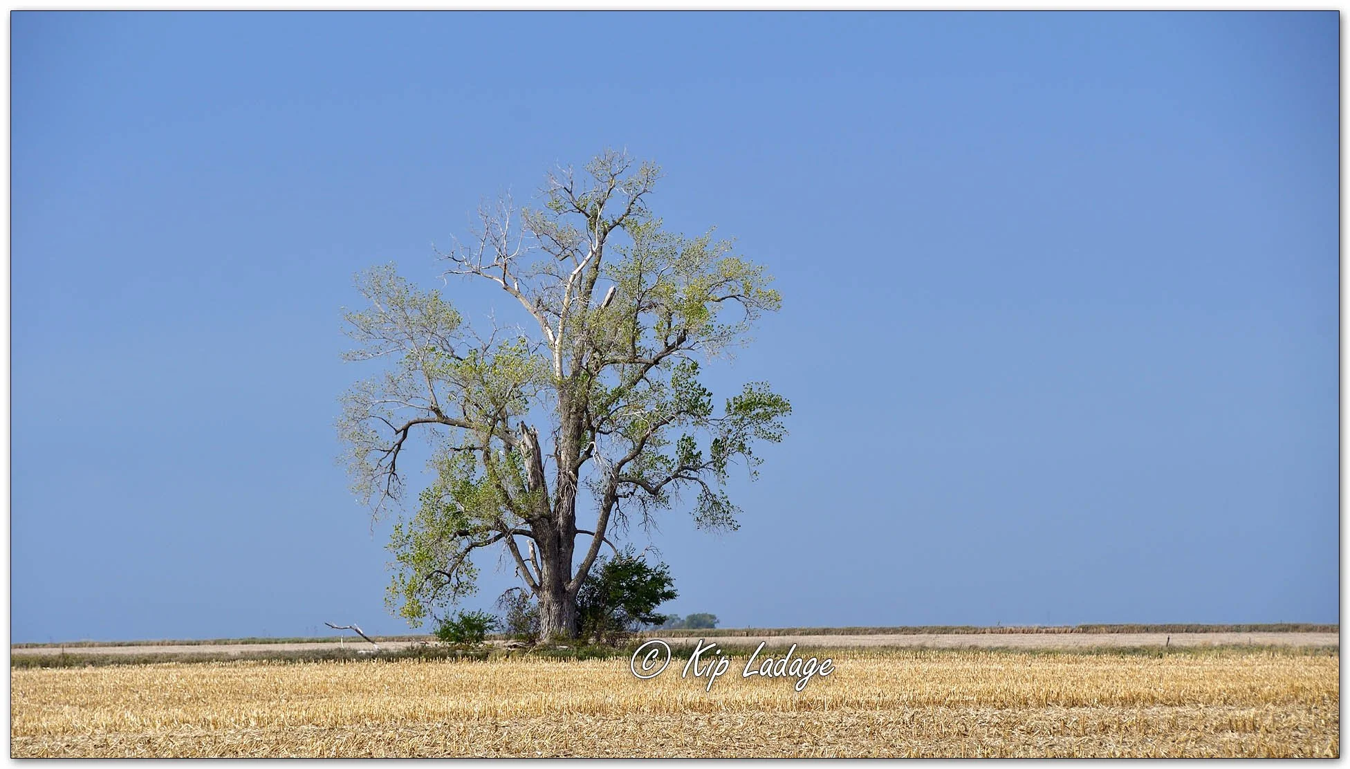 Kip’s Comments - October 18, 2023 — LadagePhotography.com