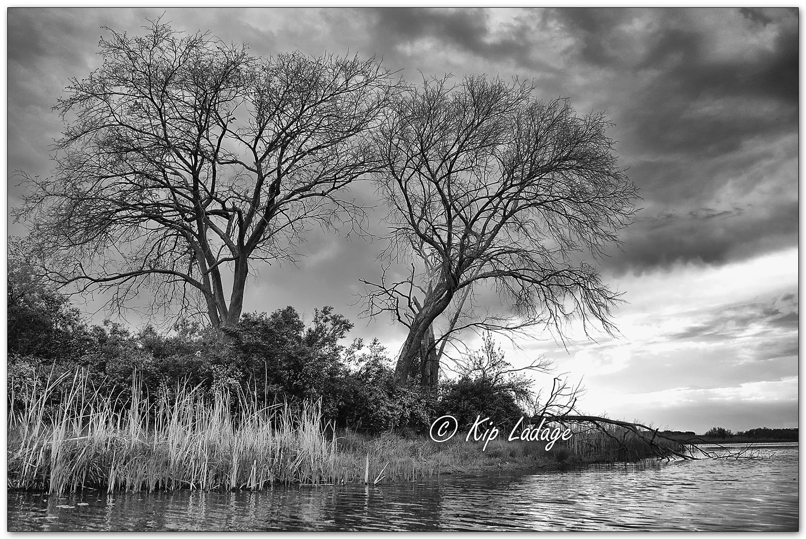 Kip’s Comments - May 11 and 12, 2024 — LadagePhotography.com