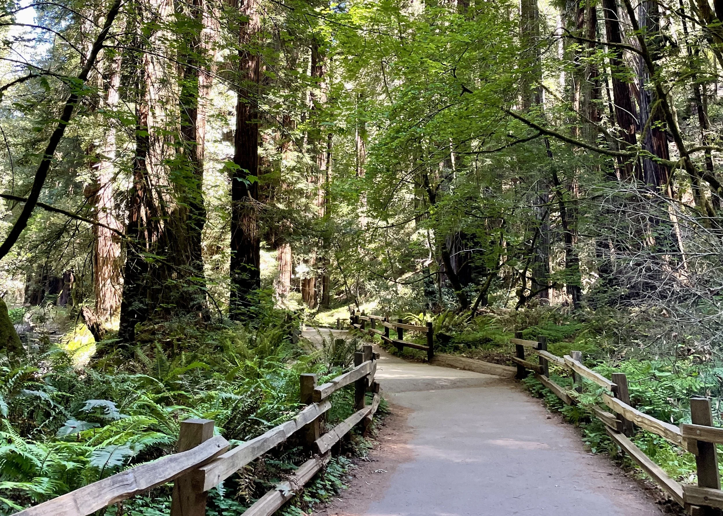 Sight Sphere: Targeted Career Consulting with Pian Shu