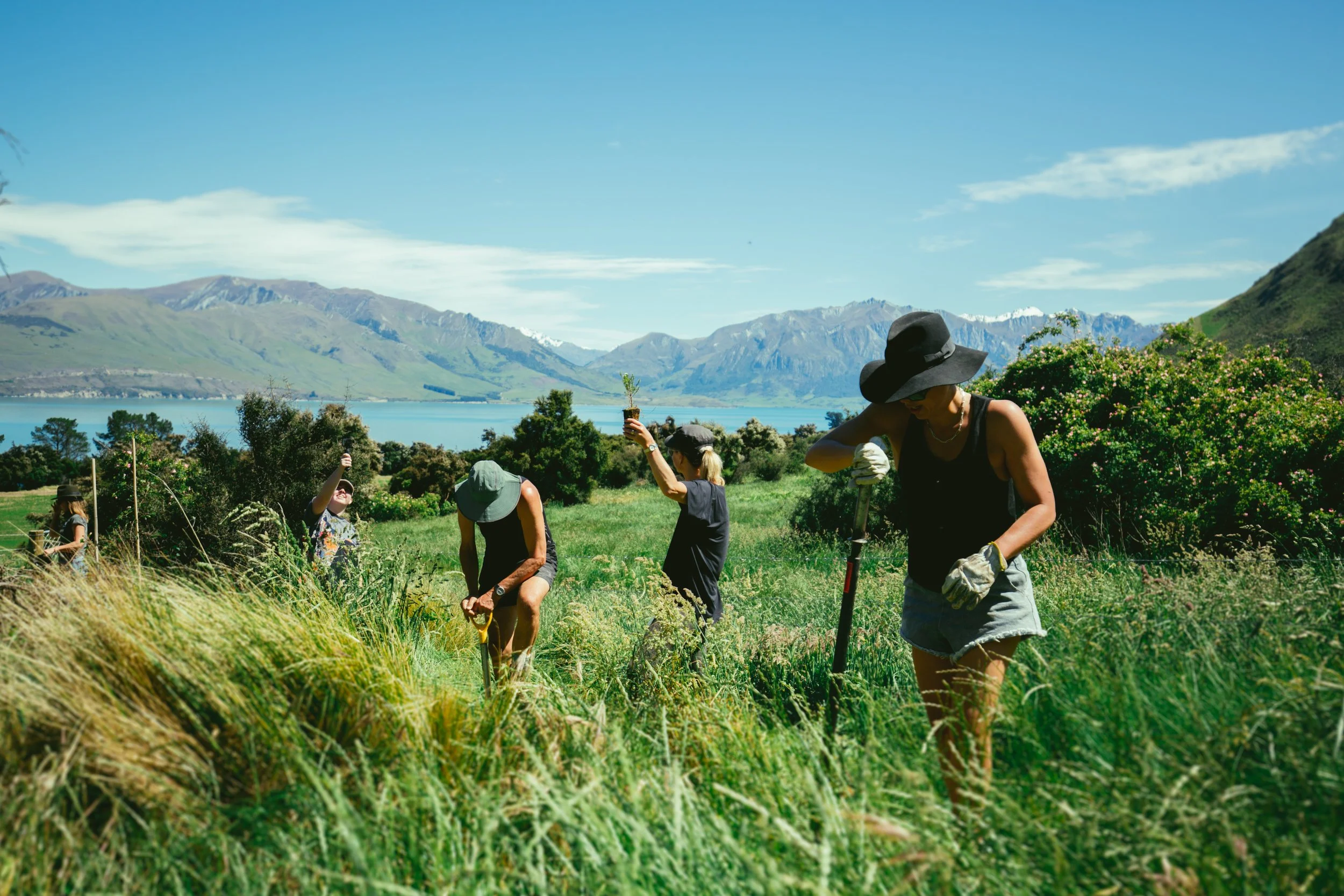 Blog 1 — Dr. Finn Ross