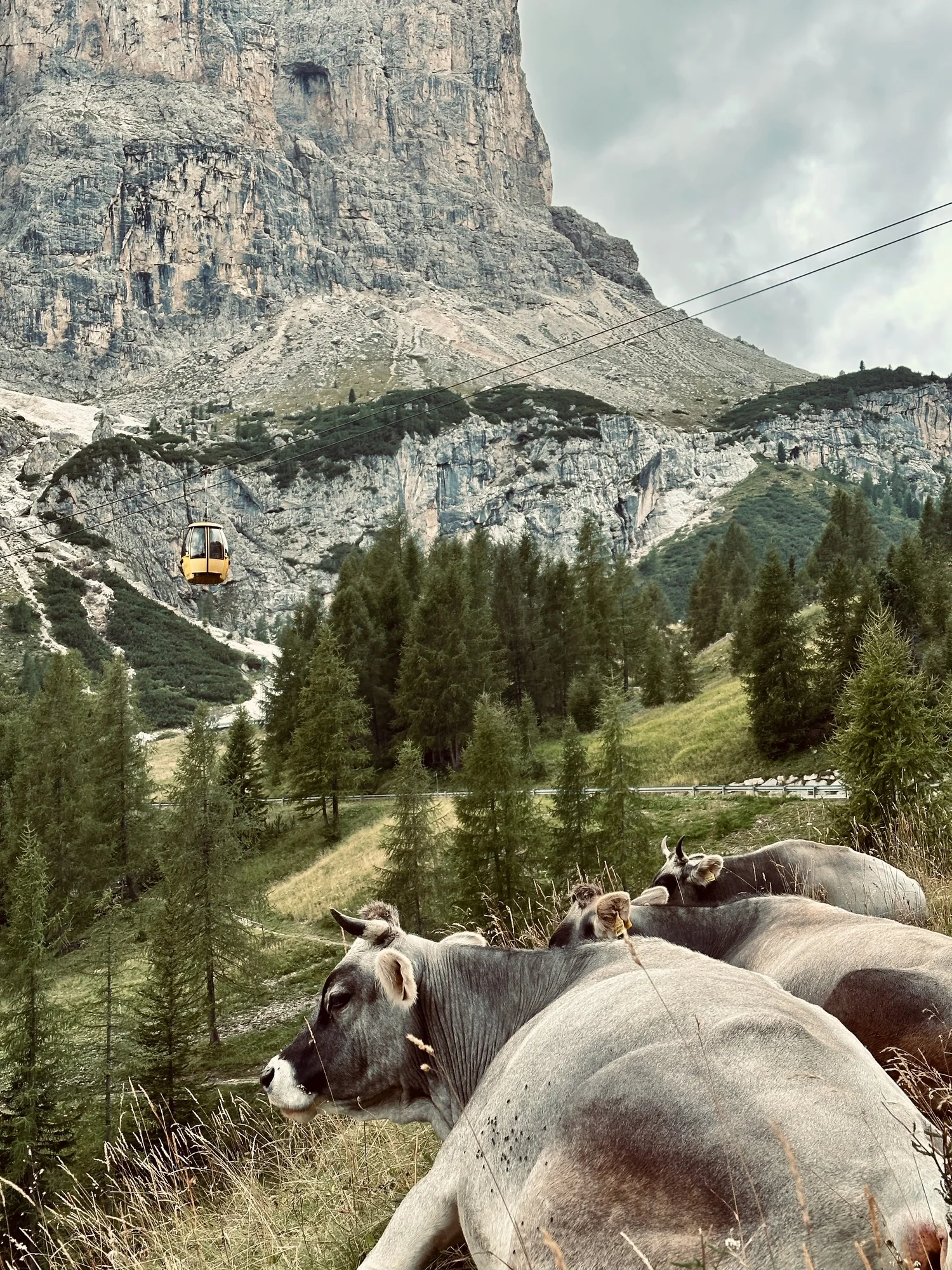 Road cycling route: Sella Ronda — Cycling Aficionados