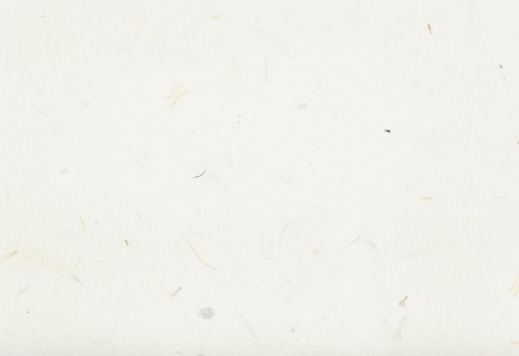 STANDORTE & SPEISEKARTEN — Emmi's Kitchen