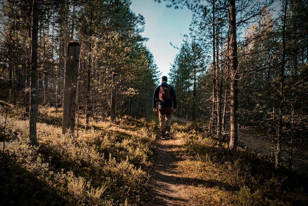 Exploring the Pääsküla bog trails in Tallinn — Tales of Adventure - by ...