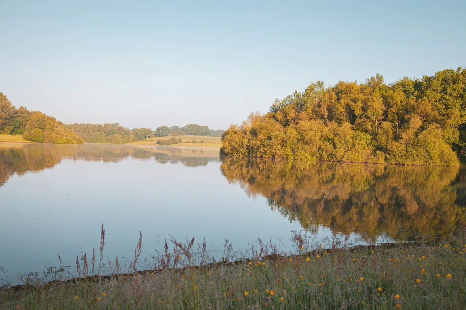 Exploring the beauty of Bewl Water in Kent — Tales of Adventure - by ...