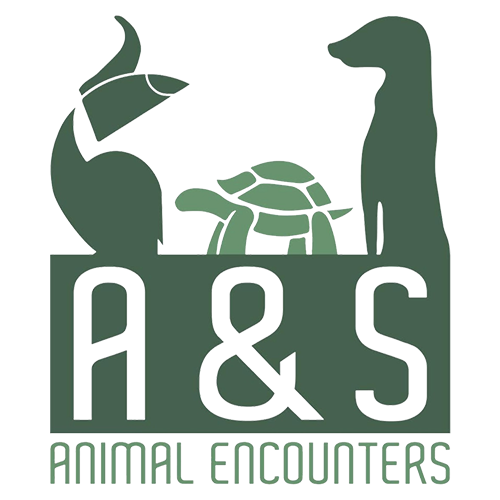A & S Animal Encounters – Reptile Education & Experiences | Responsible ...