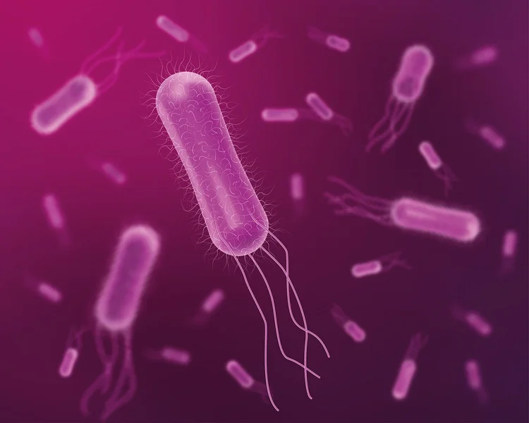 Myth buster: reptile salmonella — Responsible Reptile Keeping
