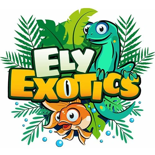 Ely Exotics – Reptile Store & Supplies | Responsible Reptile Keeping ...