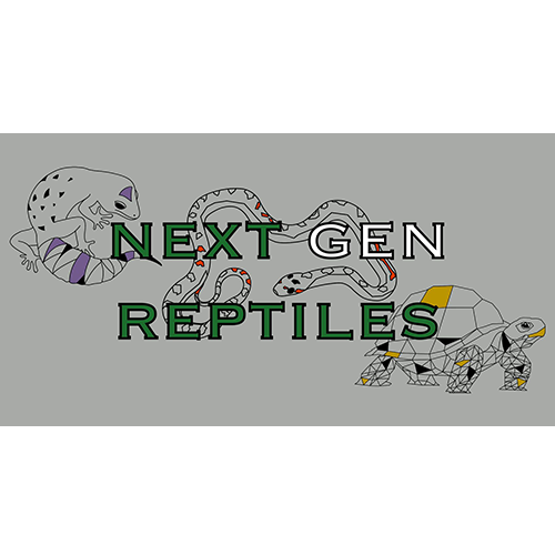 Next Gen Reptiles – Reptile Education & Experiences | Responsible ...
