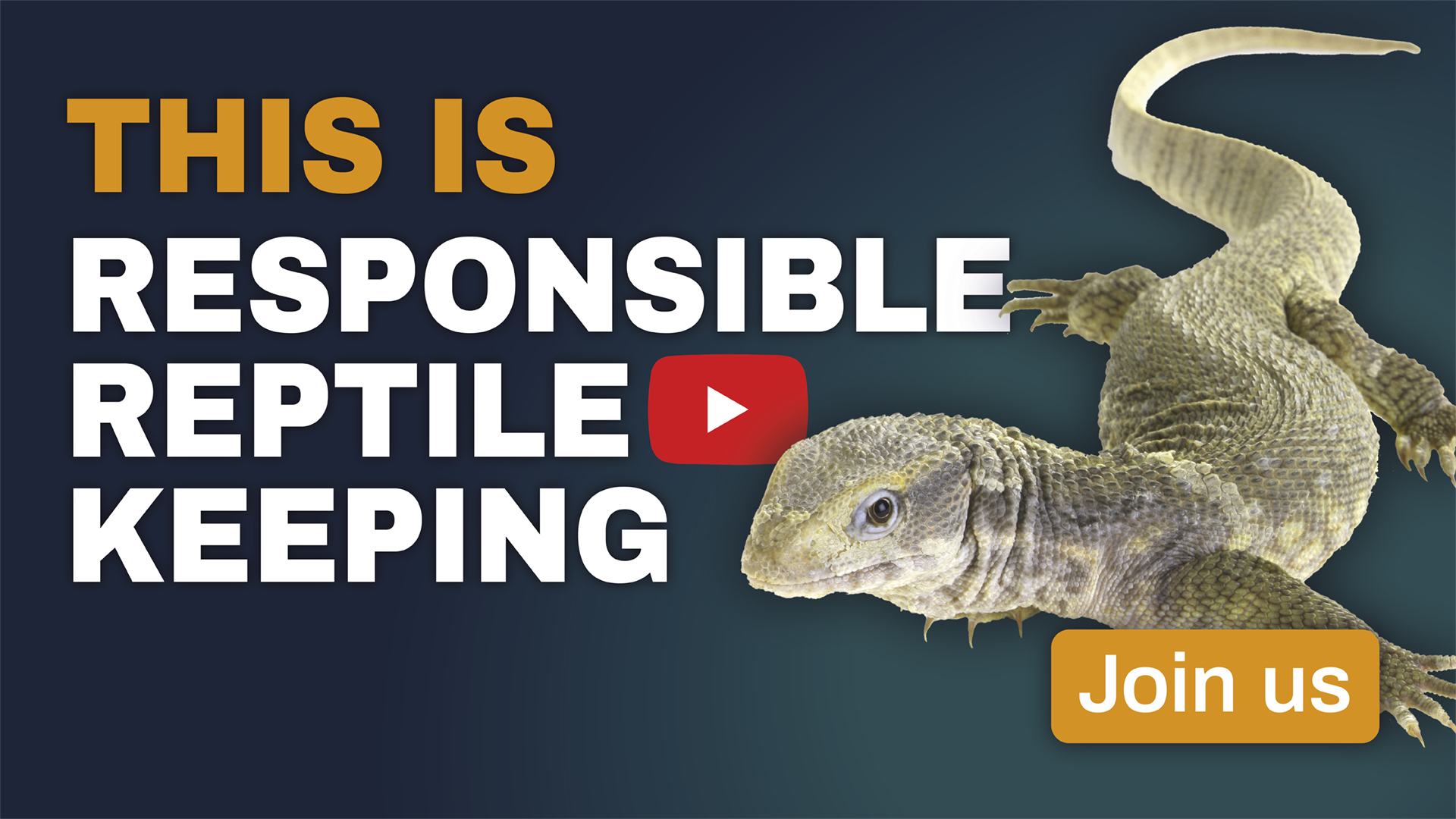 About — Responsible Reptile Keeping