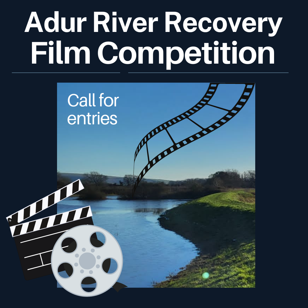 Adur River Recovery