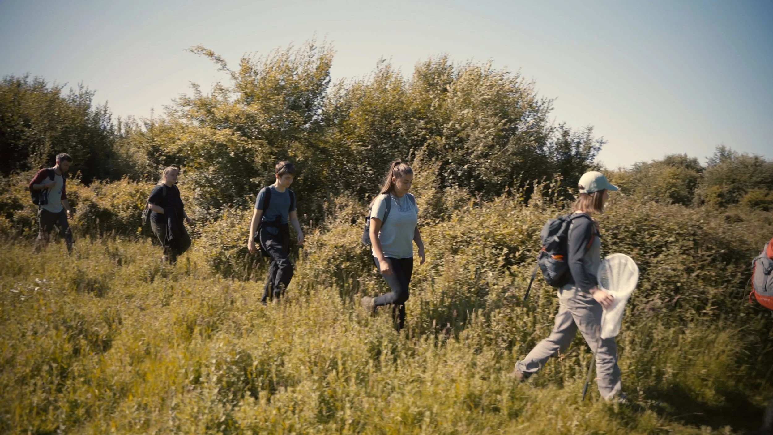 Latest projects — Knepp Wildland Foundation