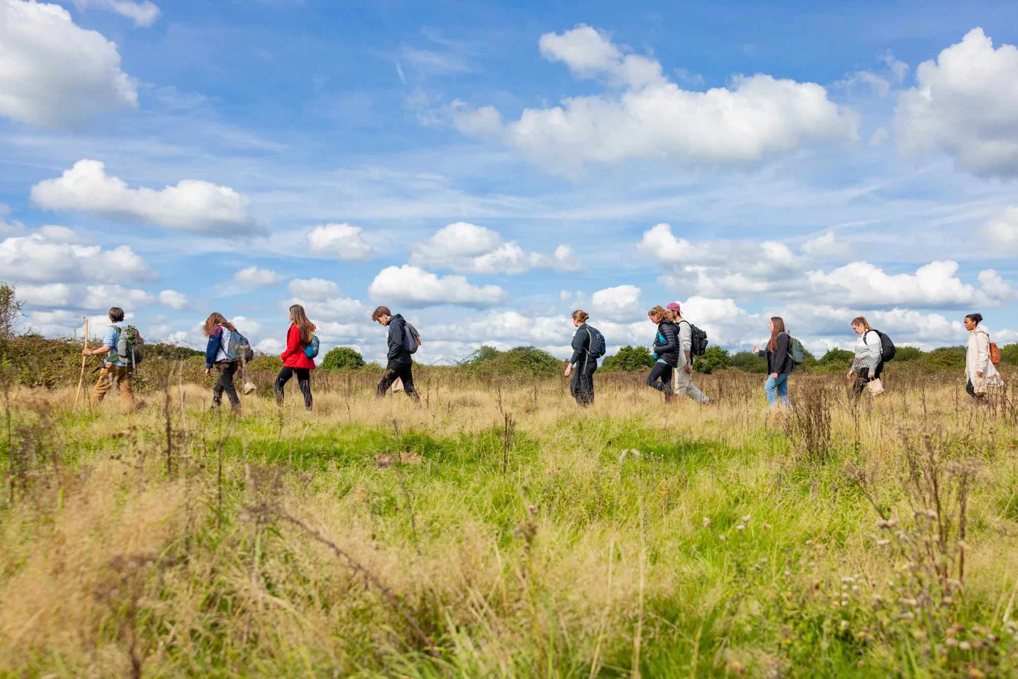 Get Involved — Knepp Wildland Foundation