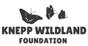 Latest projects — Knepp Wildland Foundation