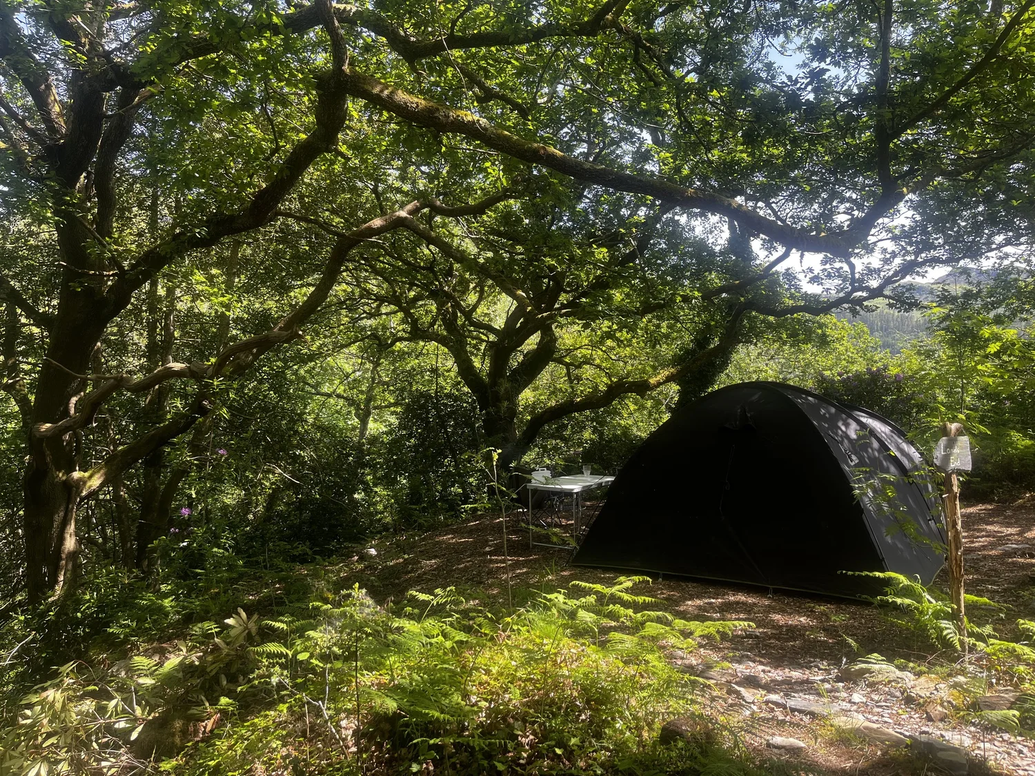 Wild Camping — Cefn Coed
