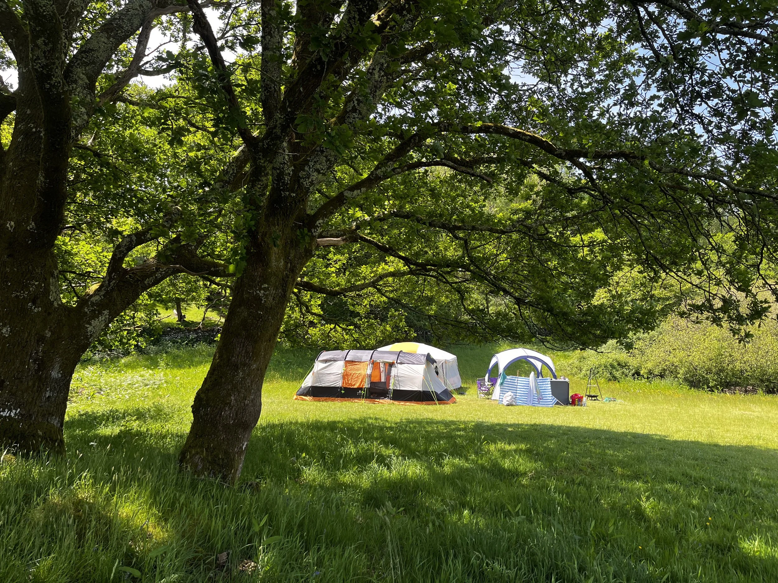 Wild Camping — Cefn Coed