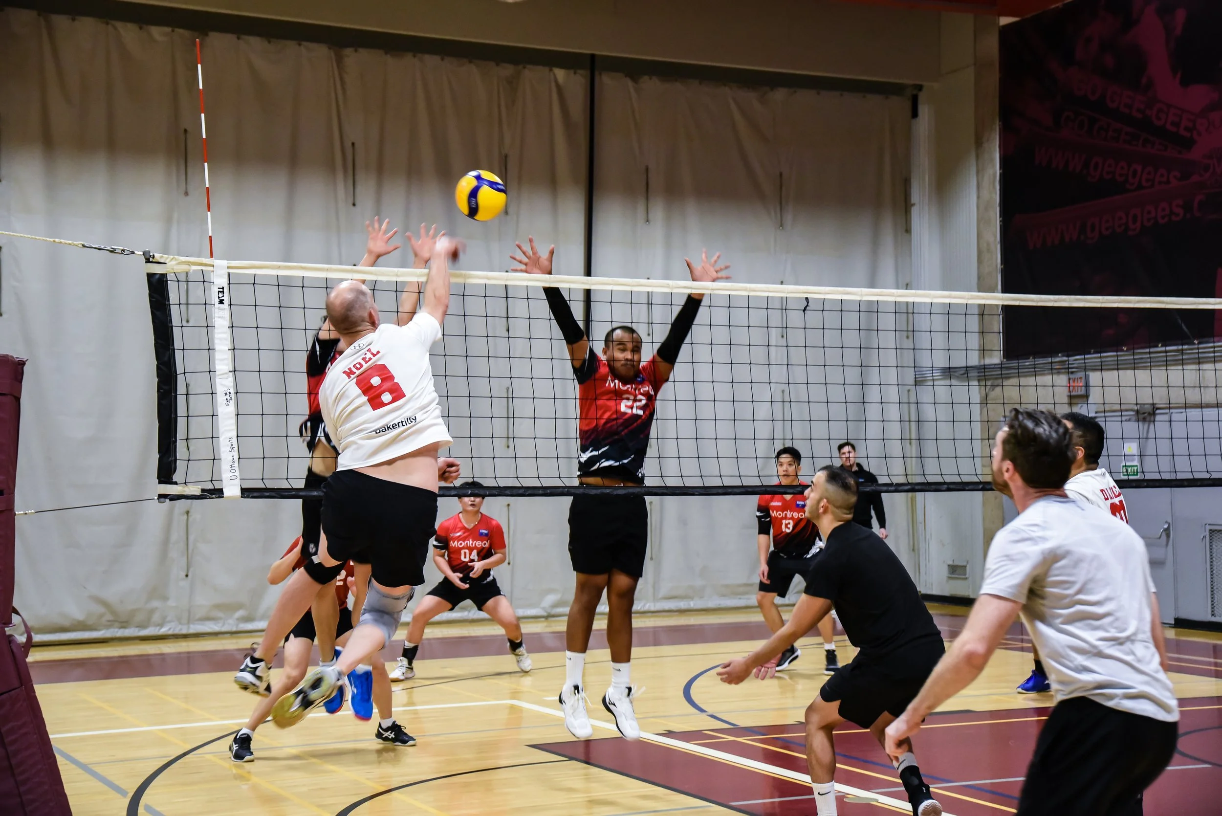 Indoor Drop-in | Join the Fun – Play Volleyball Now — Pride Capital ...