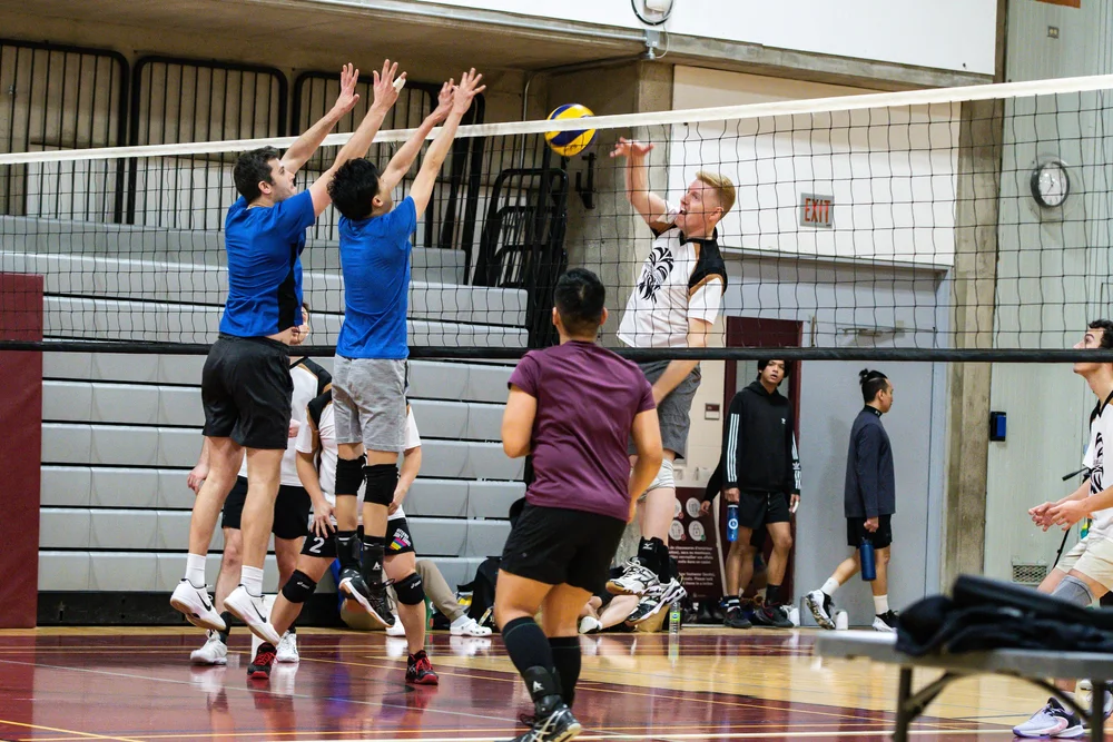 Pride Capital Volleyball | Fierté Volleyball de la Capitale