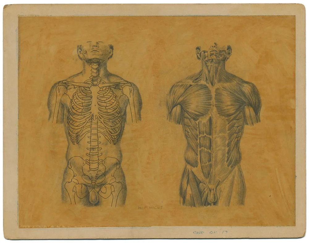 WWII Signal Corps — WILLIAM P. HICKS