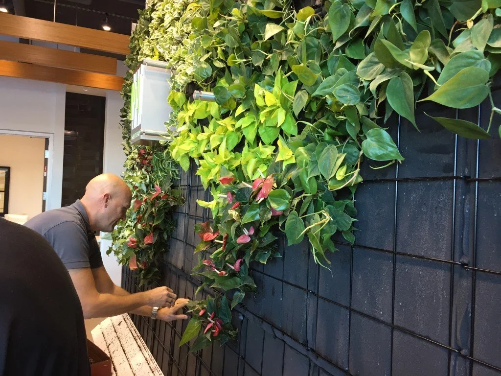 Green Wall Grant Program — Green City