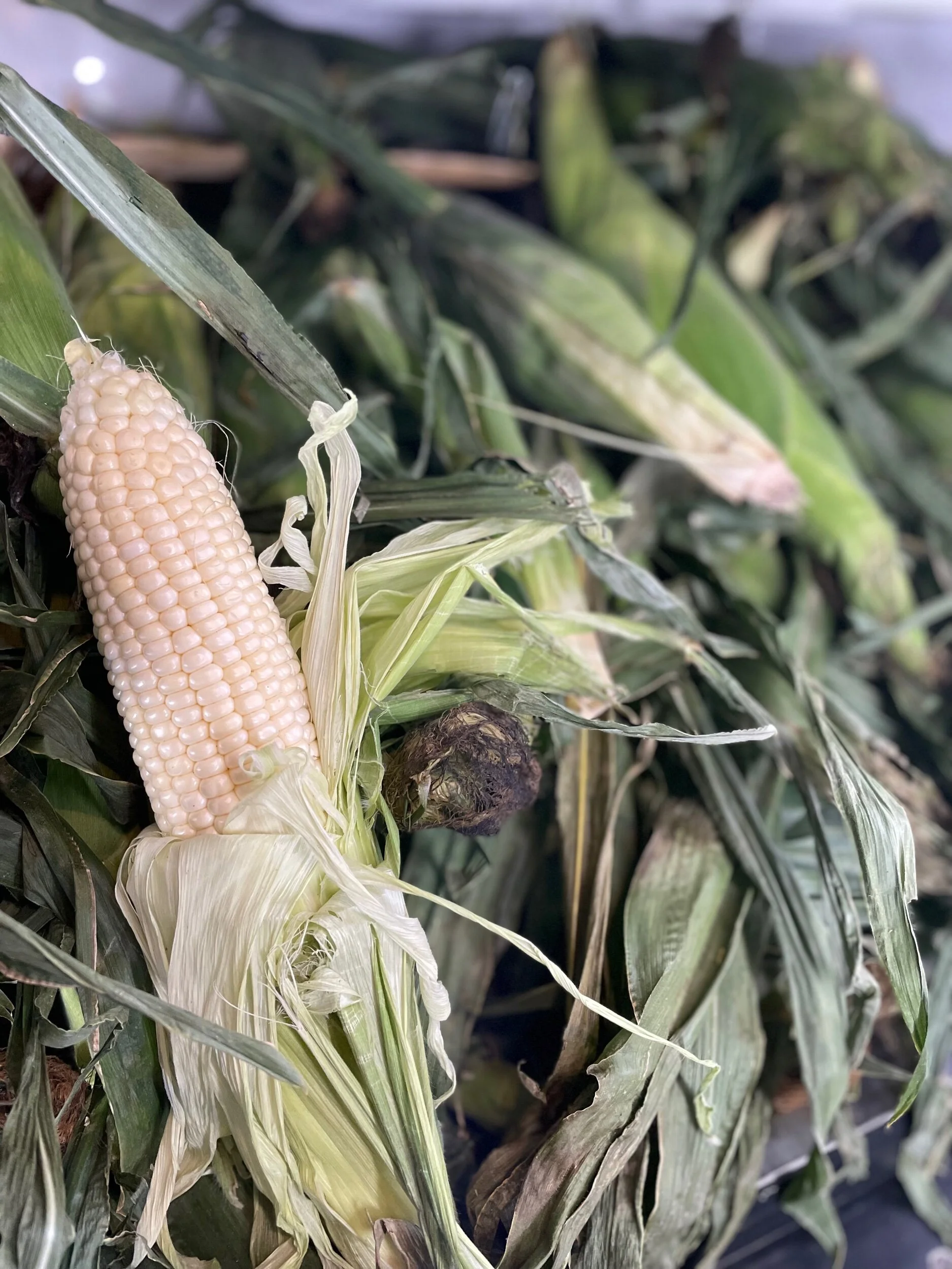 Shop — Powers Farm