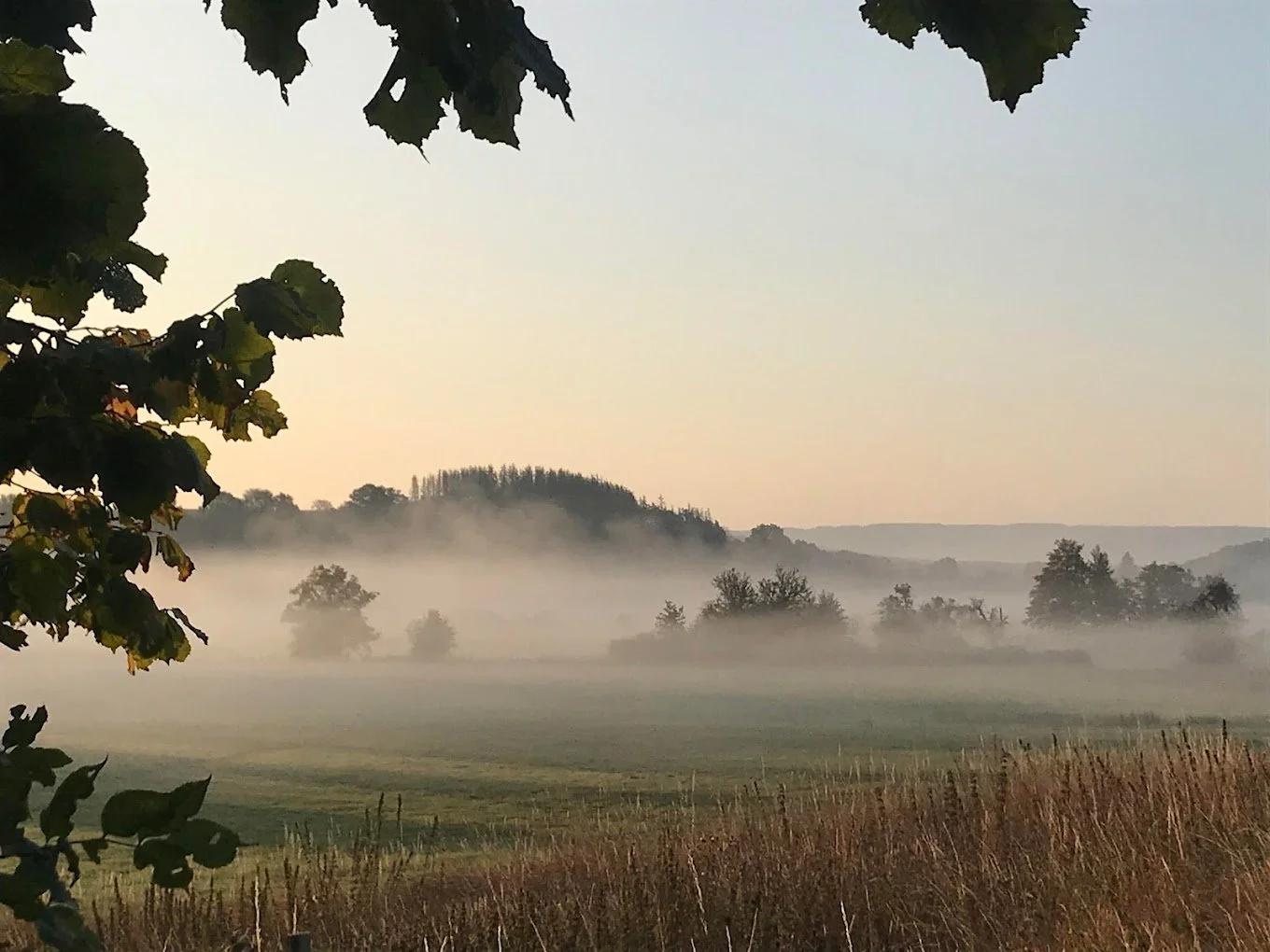 Transformatie Retreat Durbuy — Emofit by Marjolijn