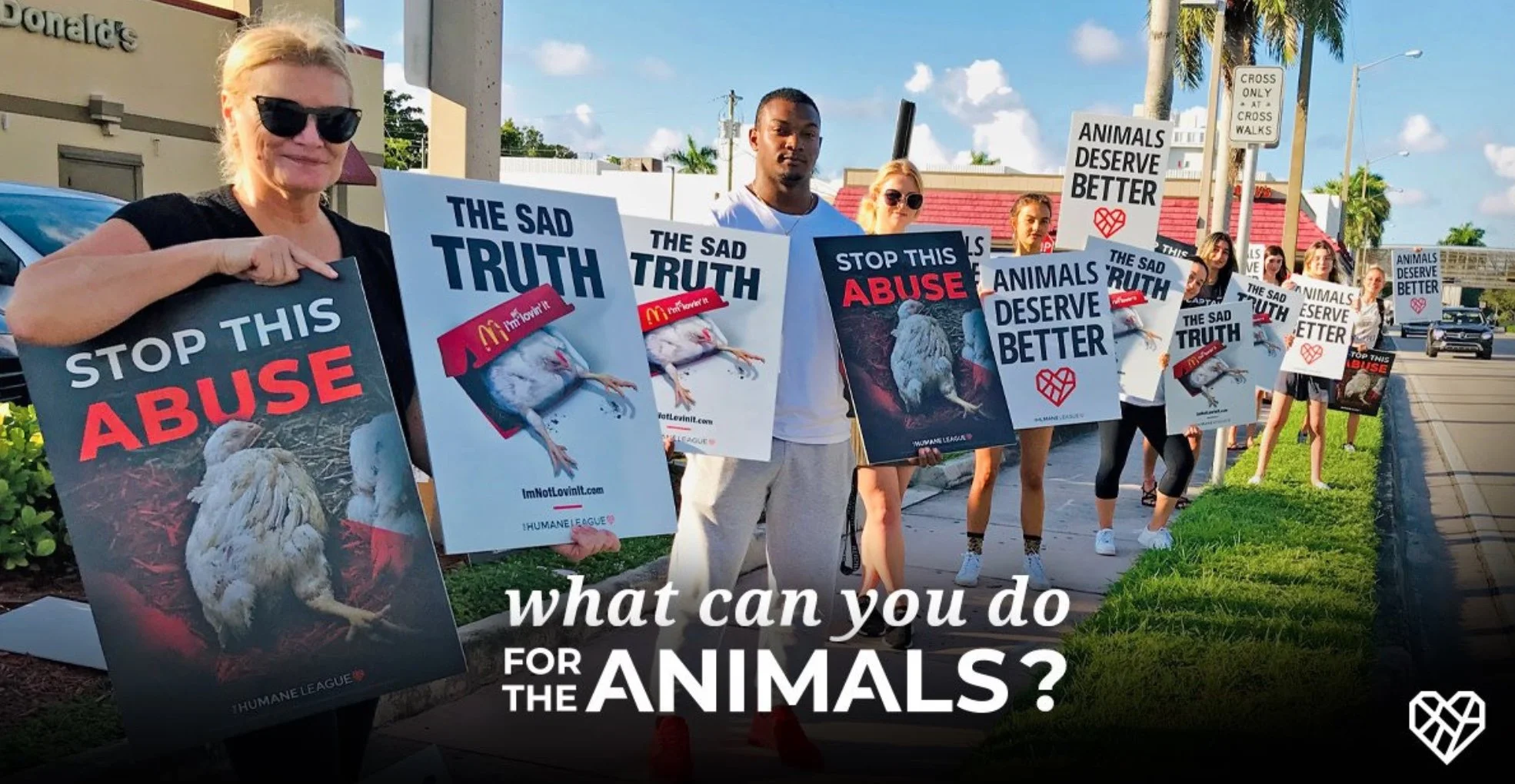 Animal Cruelty - Full Report — Christians for Impact