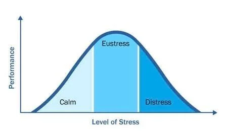 Mastering Stress: Understanding Its Impact and Managing Strategies