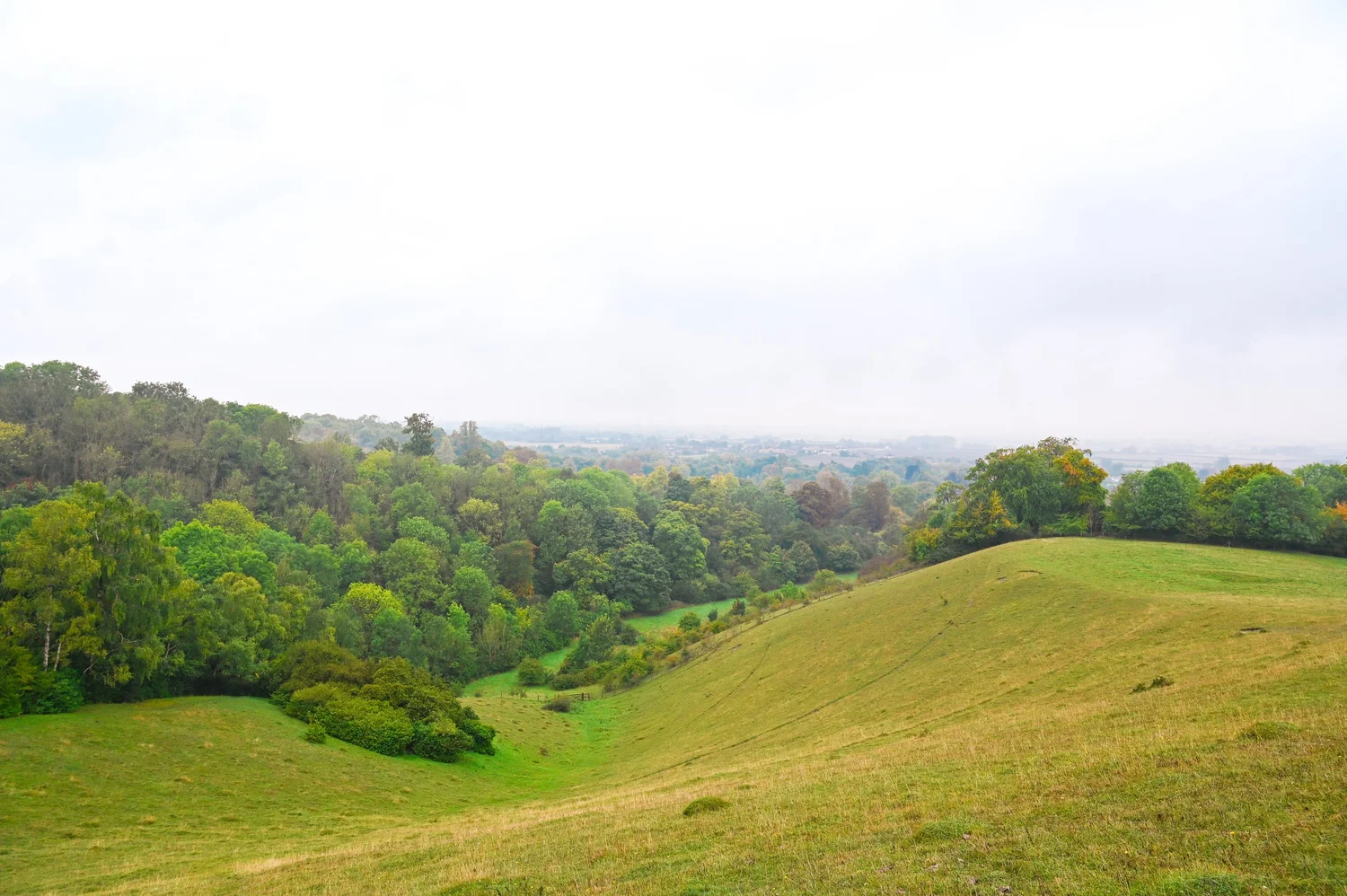 7 Ways That Nature Benefits Our Wellbeing