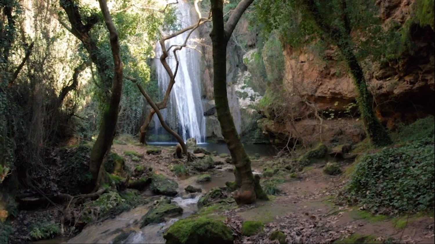 Cat Nguyen | Calm Voice Over | Sleep Stories & Meditations | Atlanta, GA