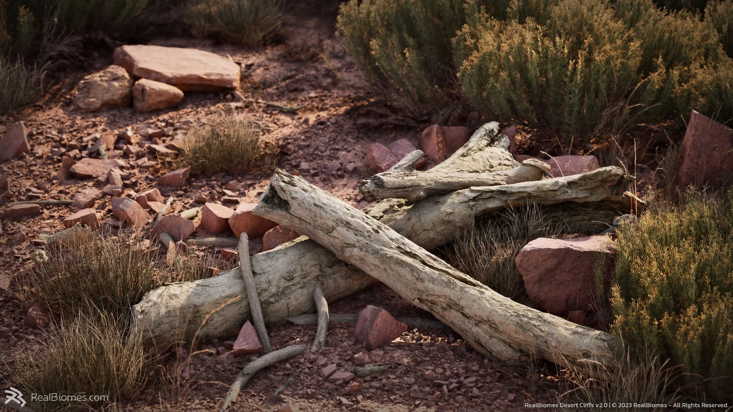 RealBiomes | Forest & Desert Biome Environments for Unreal Engine 5