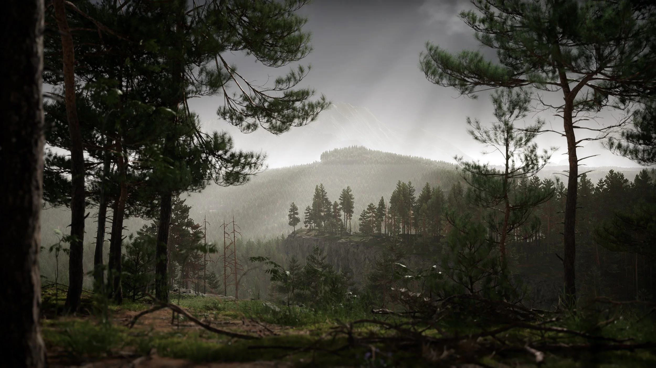 RealBiomes | Creating Next-Gen worlds for Unreal Engine 5