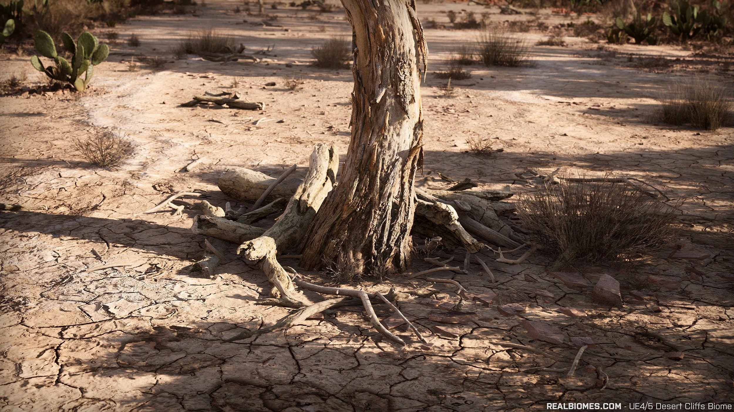 RealBiomes | Creating Next-Gen worlds for Unreal Engine 5