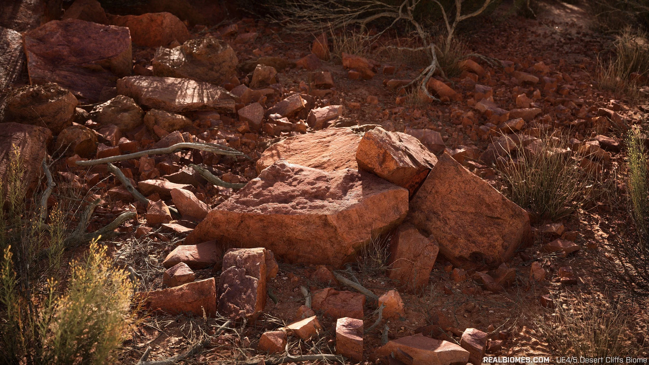 RealBiomes | Creating Next-Gen worlds for Unreal Engine 5