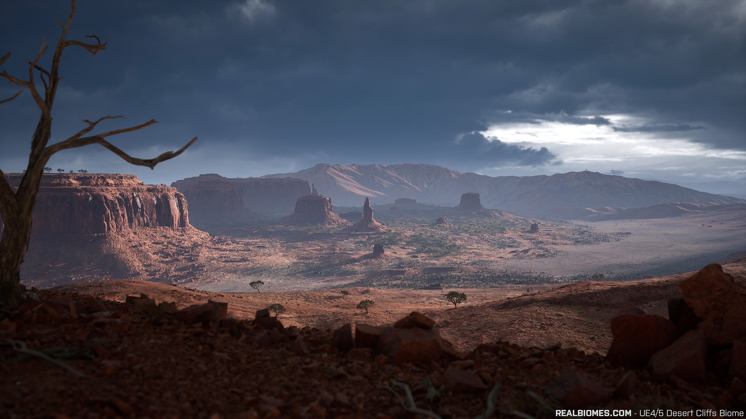 RealBiomes | Creating Next-Gen worlds for Unreal Engine 5