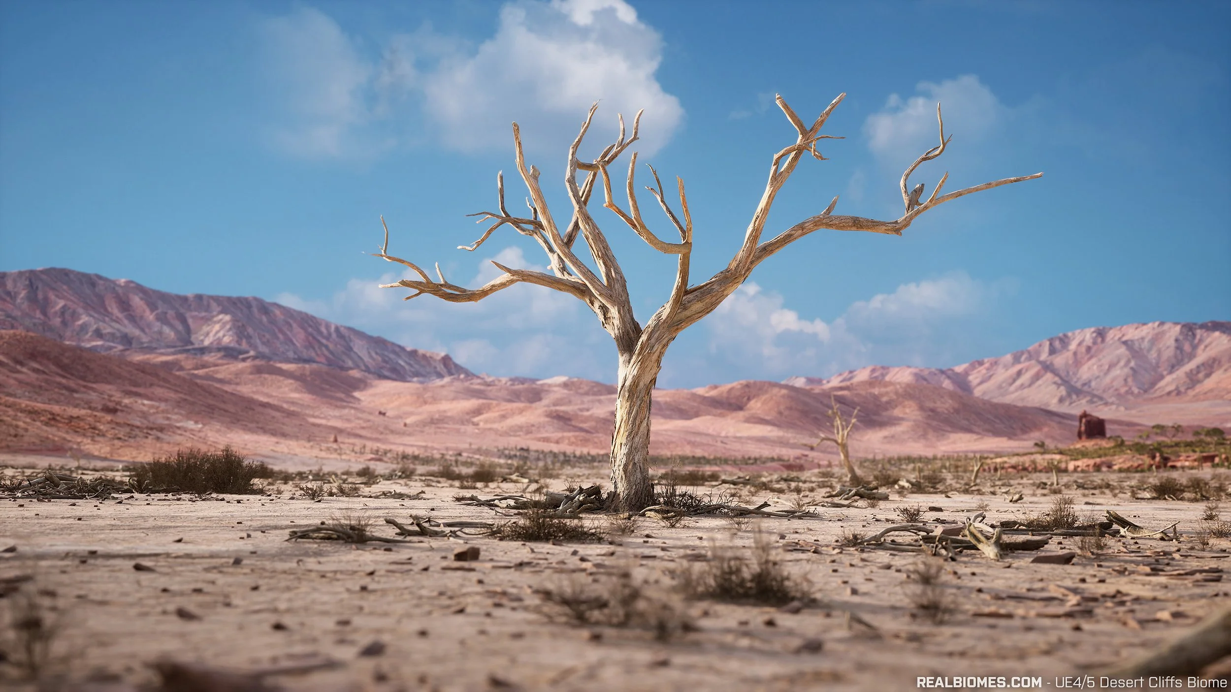 RealBiomes | Creating Next-Gen worlds for Unreal Engine 5