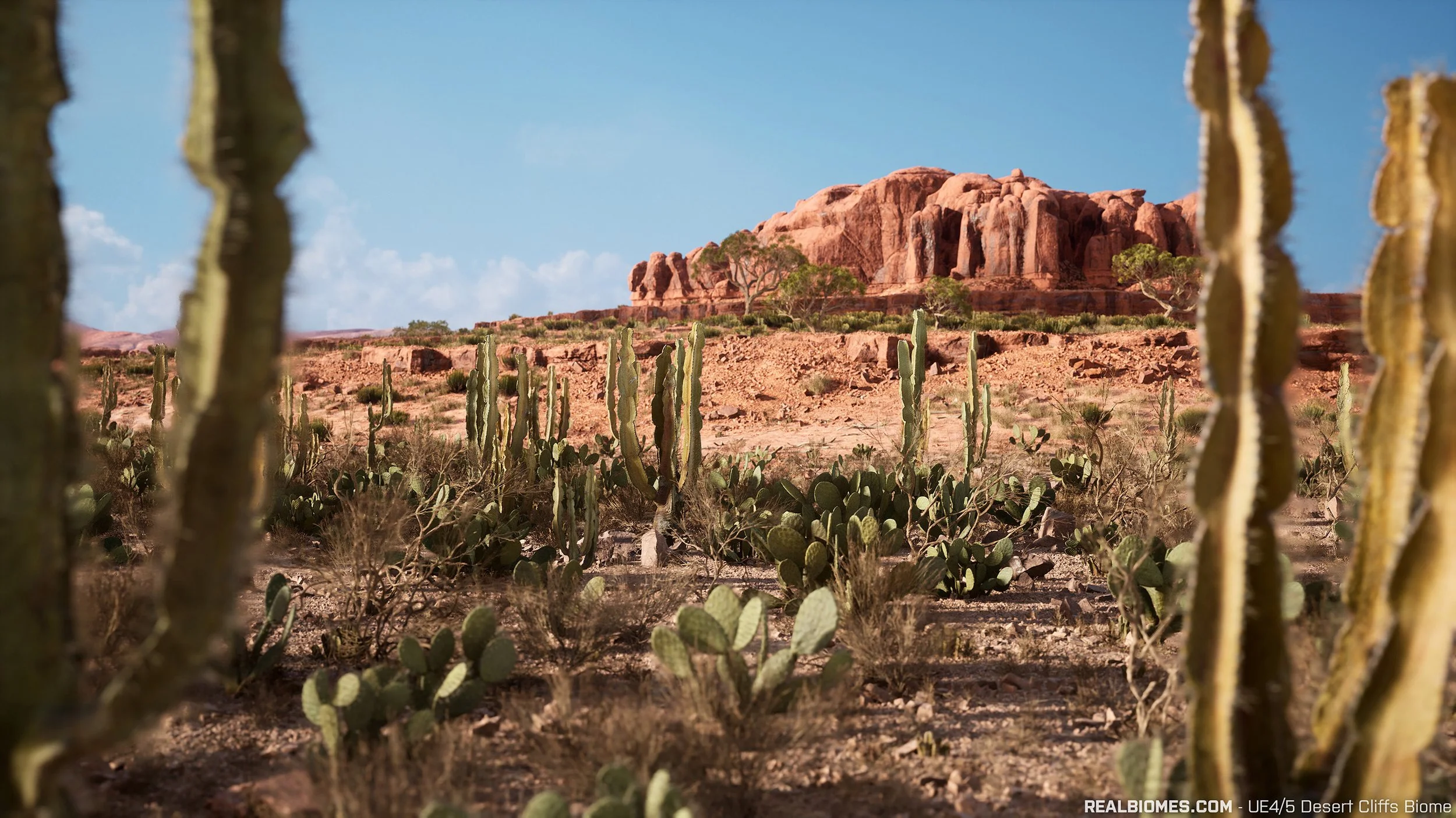 RealBiomes | AAA worlds for Unreal Engine