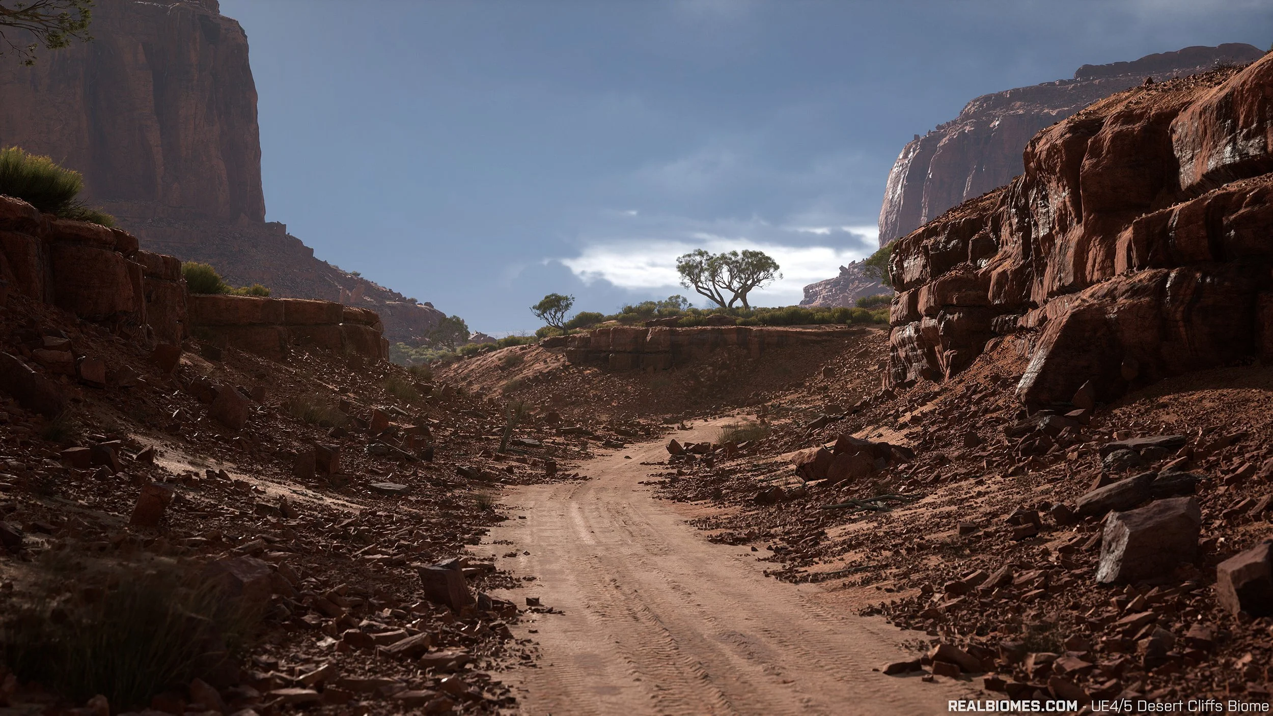 RealBiomes | Creating Next-Gen worlds for Unreal Engine 5