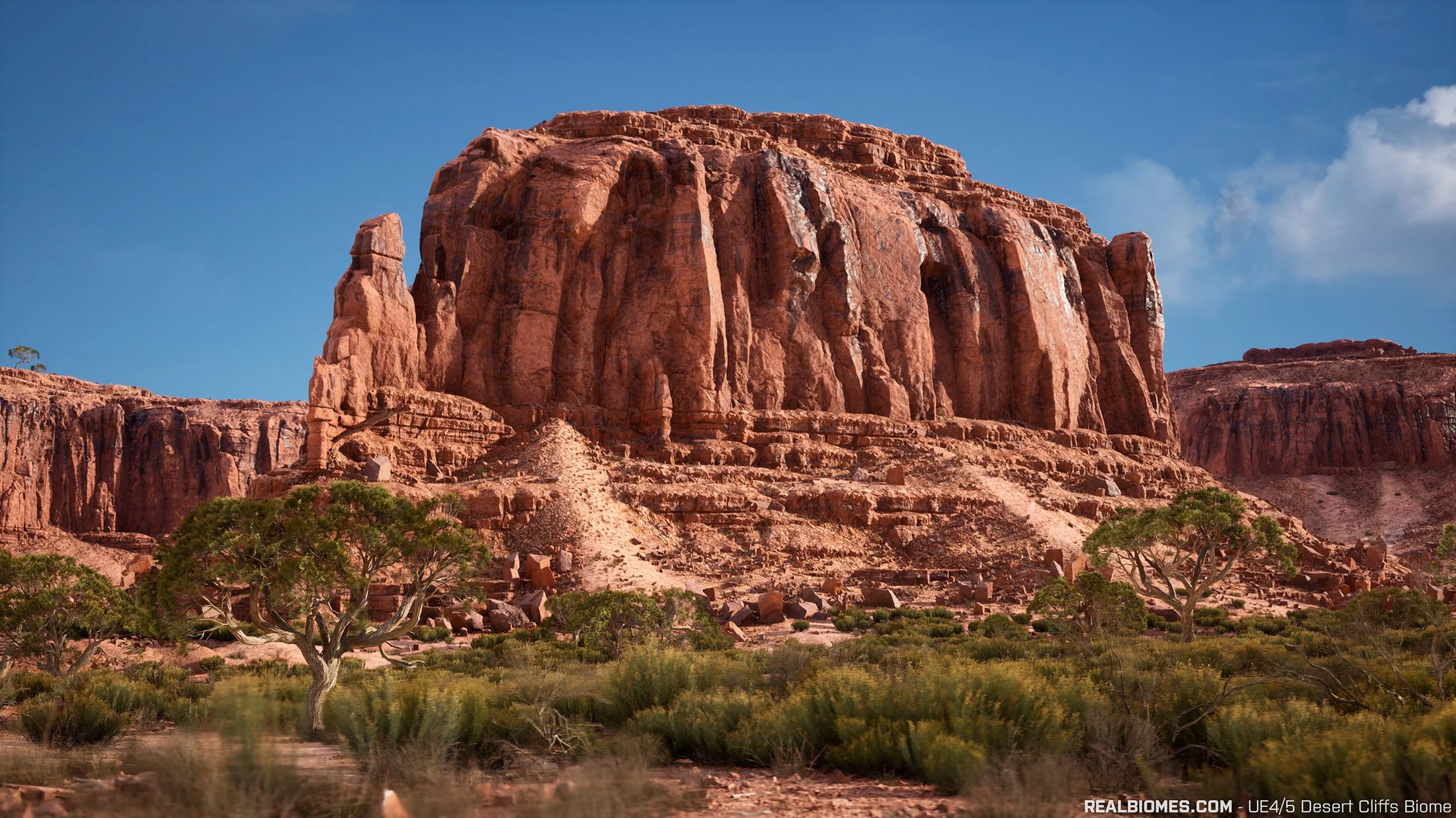 RealBiomes | Creating Next-Gen worlds for Unreal Engine 5