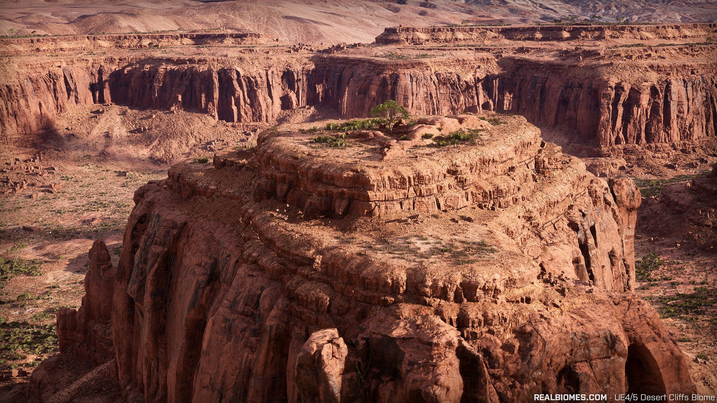 RealBiomes | Creating Next-Gen worlds for Unreal Engine 5