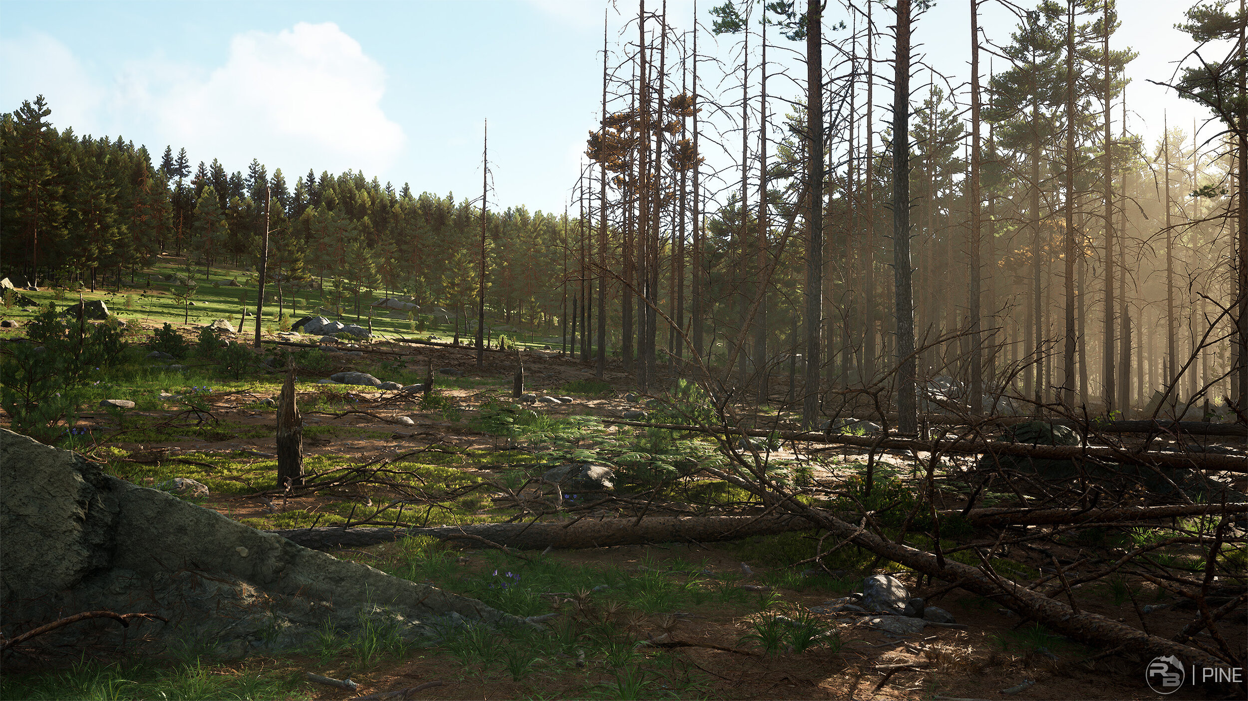 RealBiomes | Creating Next-Gen worlds for Unreal Engine 5