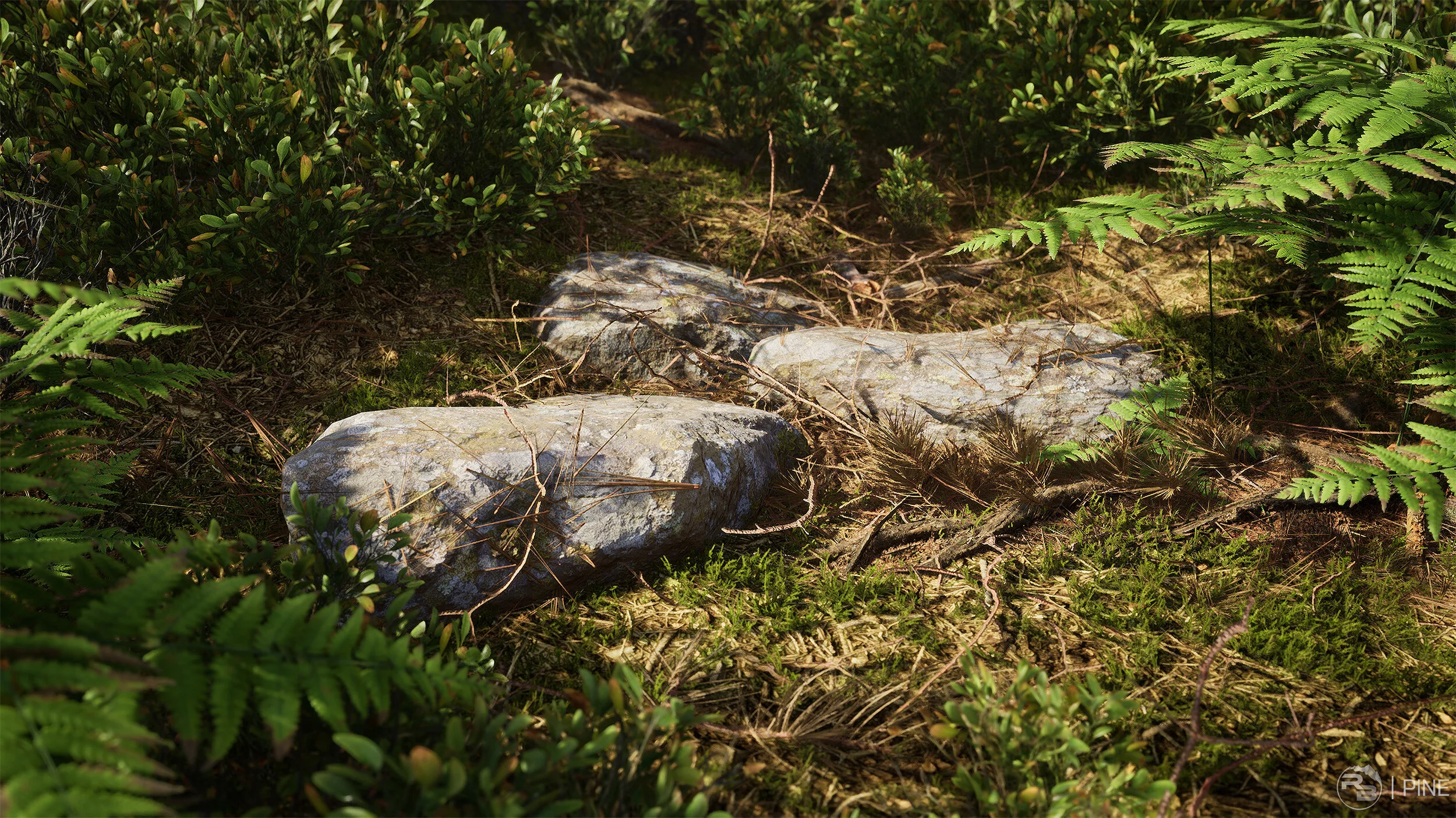 RealBiomes | Creating Next-Gen worlds for Unreal Engine 5