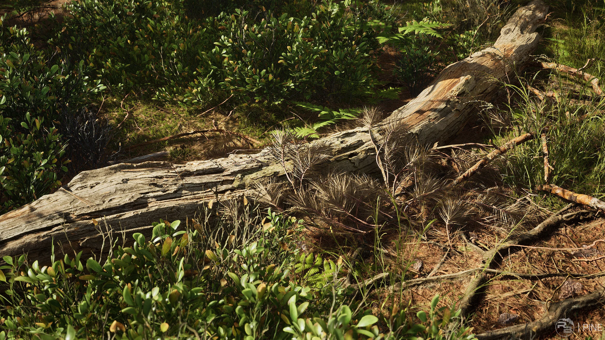 RealBiomes | Creating Next-Gen worlds for Unreal Engine 5